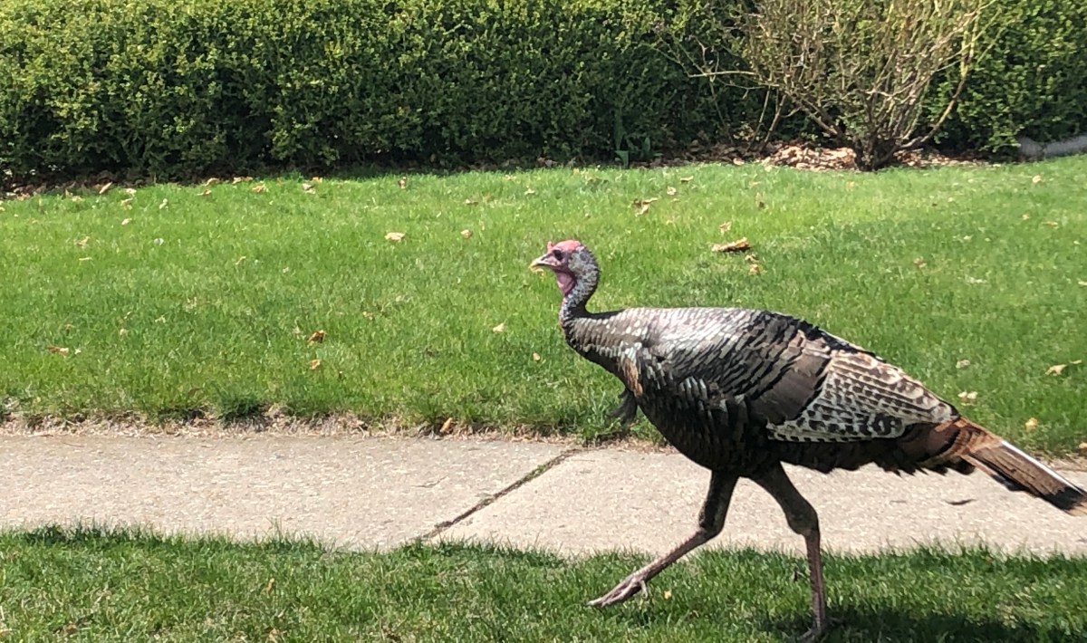 dale of allendale. [two artists tuesday] | reverse threading