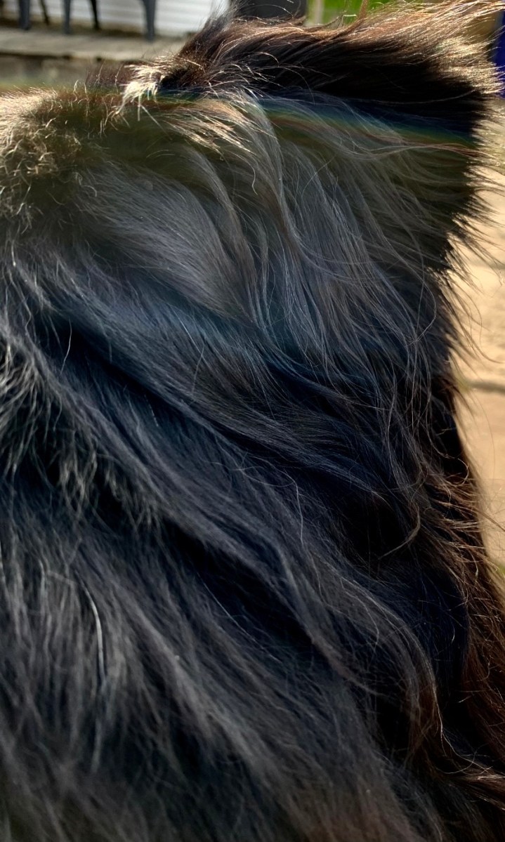 the time between now and the wind. [not-so-flawed wednesday] | reverse ...