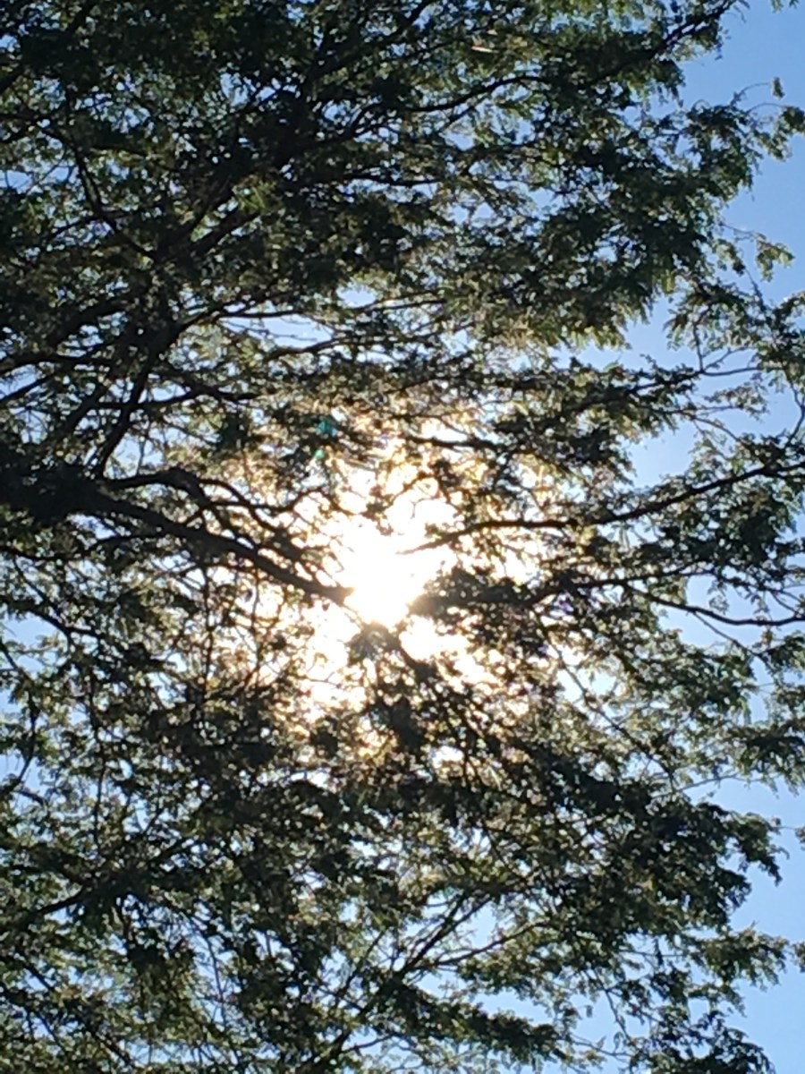 illumination. [kerri’s blog on d.r. thursday] | reverse threading