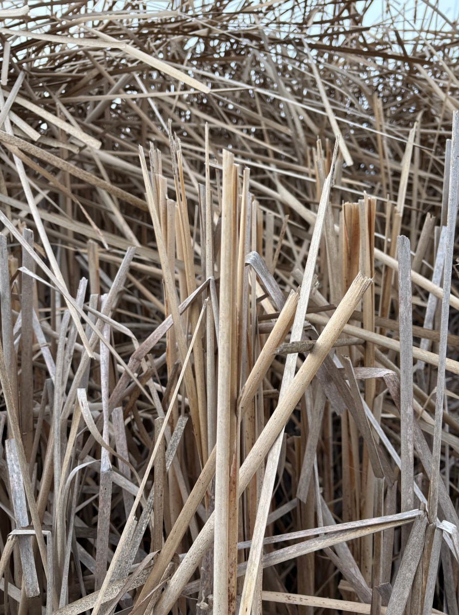 stripes. [kerri’s blog on d.r. thursday] | reverse threading