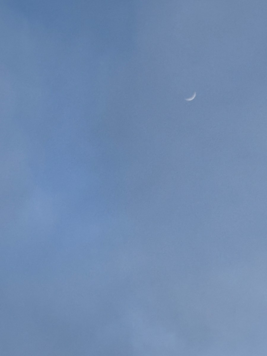 not all-that. [kerri’s blog on flawed wednesday] | reverse threading