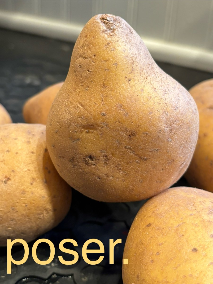 the posers amidst. [kerri’s blog on flawed wednesday] | reverse threading